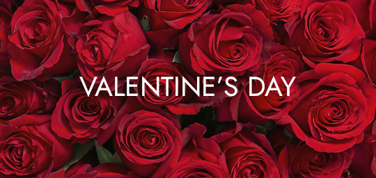 Flower Delivery Limerick | Every Blooming Thing, Limerick, 00353 6141 ...