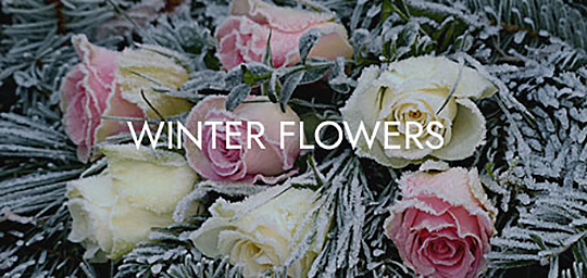 Flower Delivery Limerick | Every Blooming Thing, Limerick, 00353 6141 ...